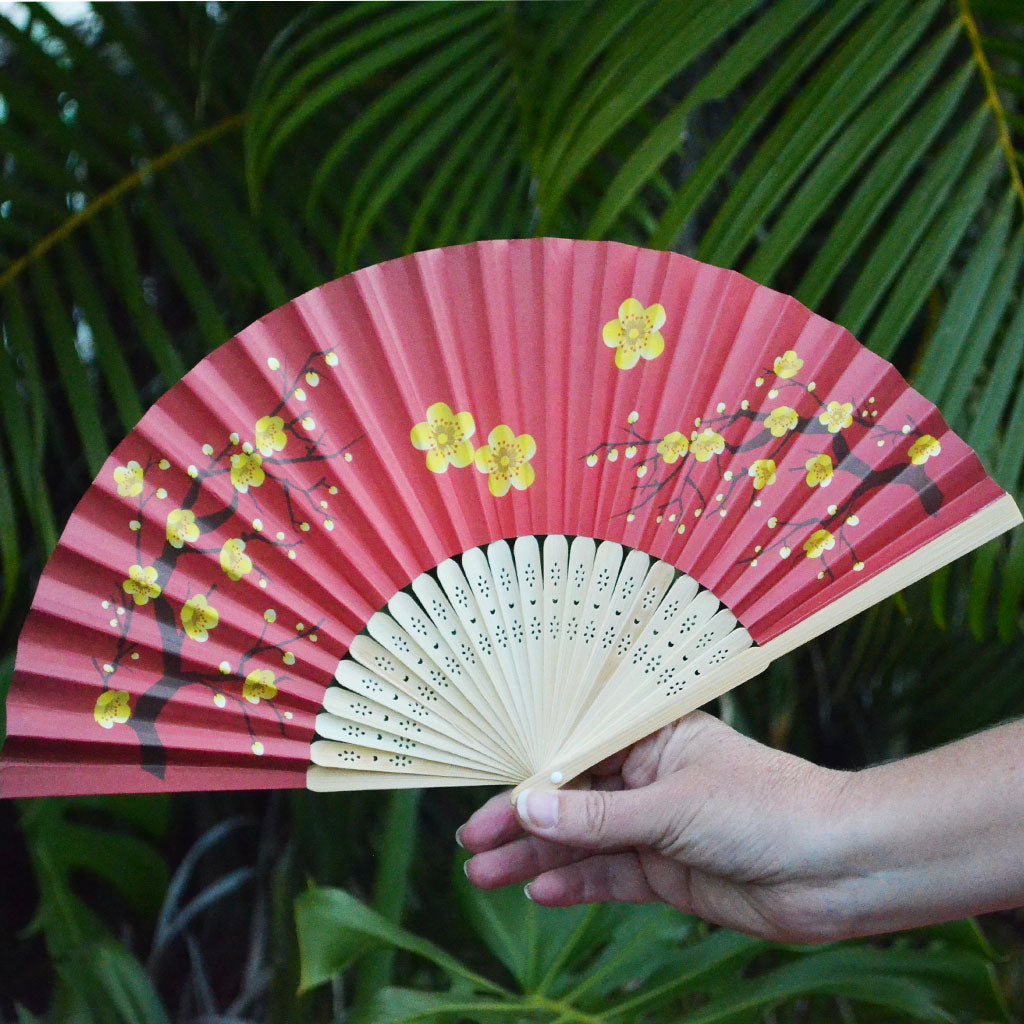 Printed Paper Fans – lanternshop