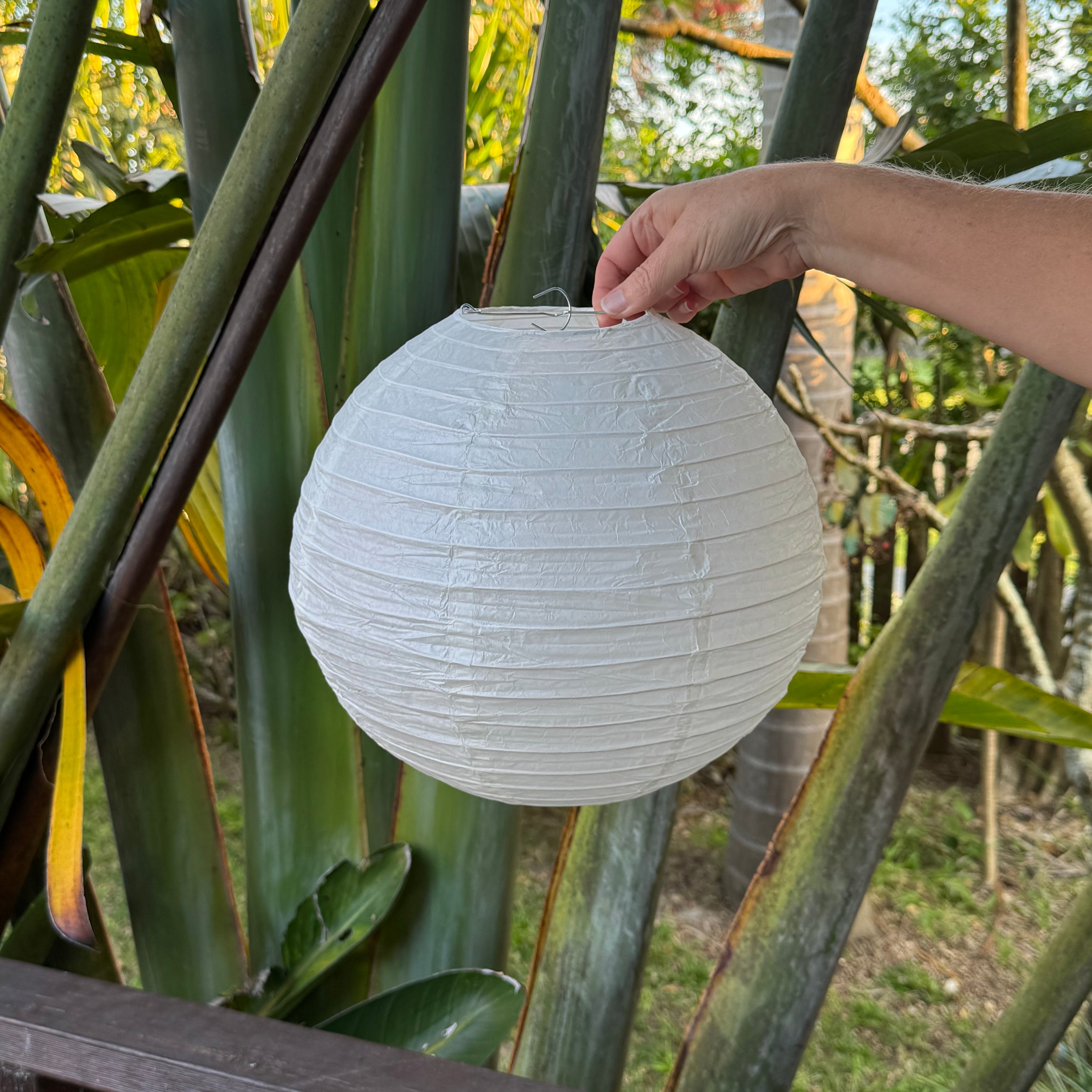 Ivory paper lantern | Lanterns | Lanternshop.com.au – lanternshop