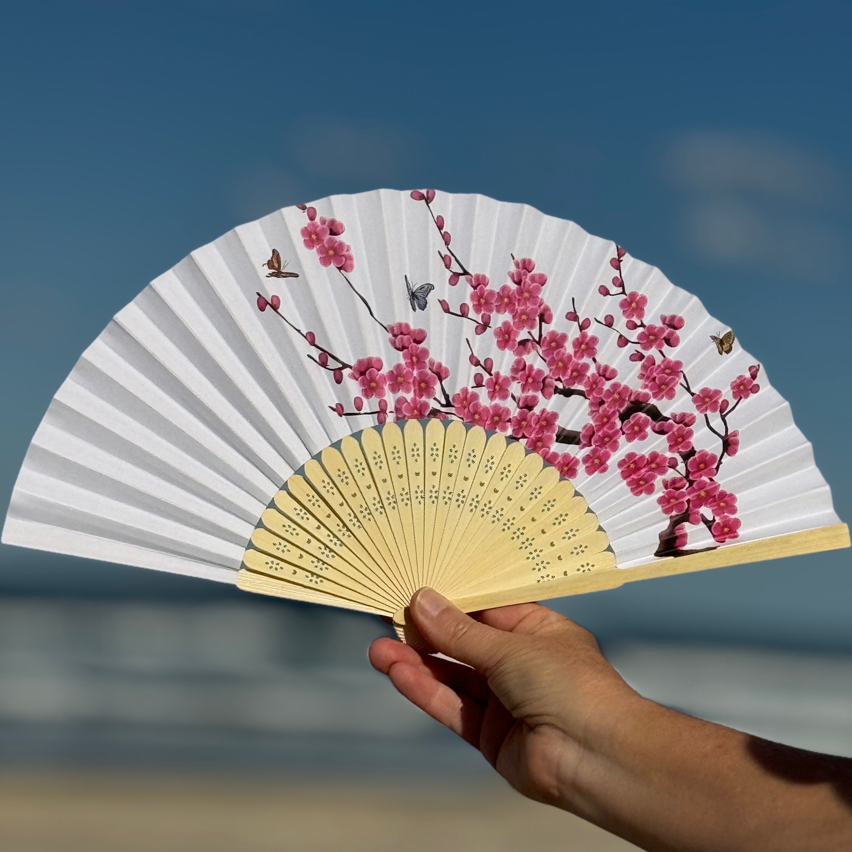 Paper Cherry Blossom fan | Paper Decorate Fan | Lanternshop.com.au ...