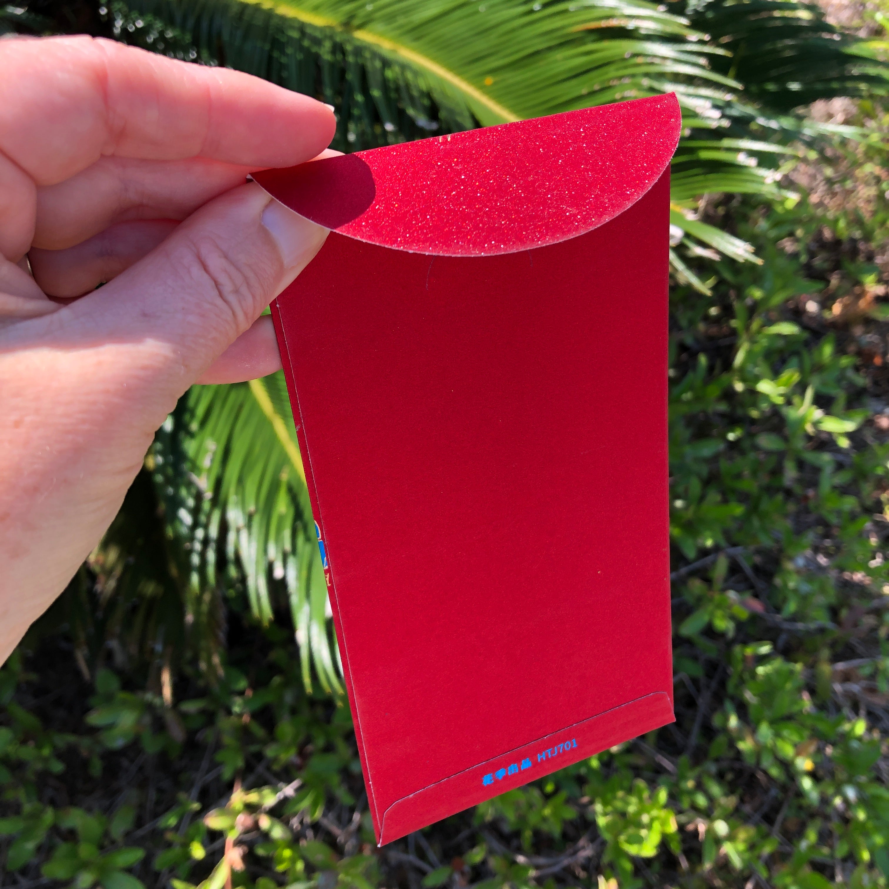 Chinese New Year Red Money Envelopes (6 pack) – lanternshop