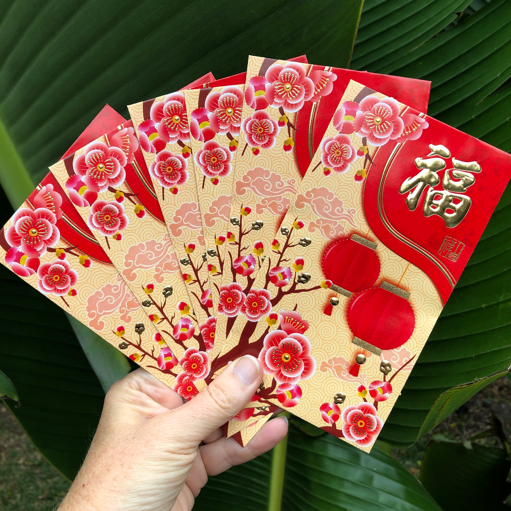 Chinese New Year Red Money Envelopes (6 pack) – lanternshop
