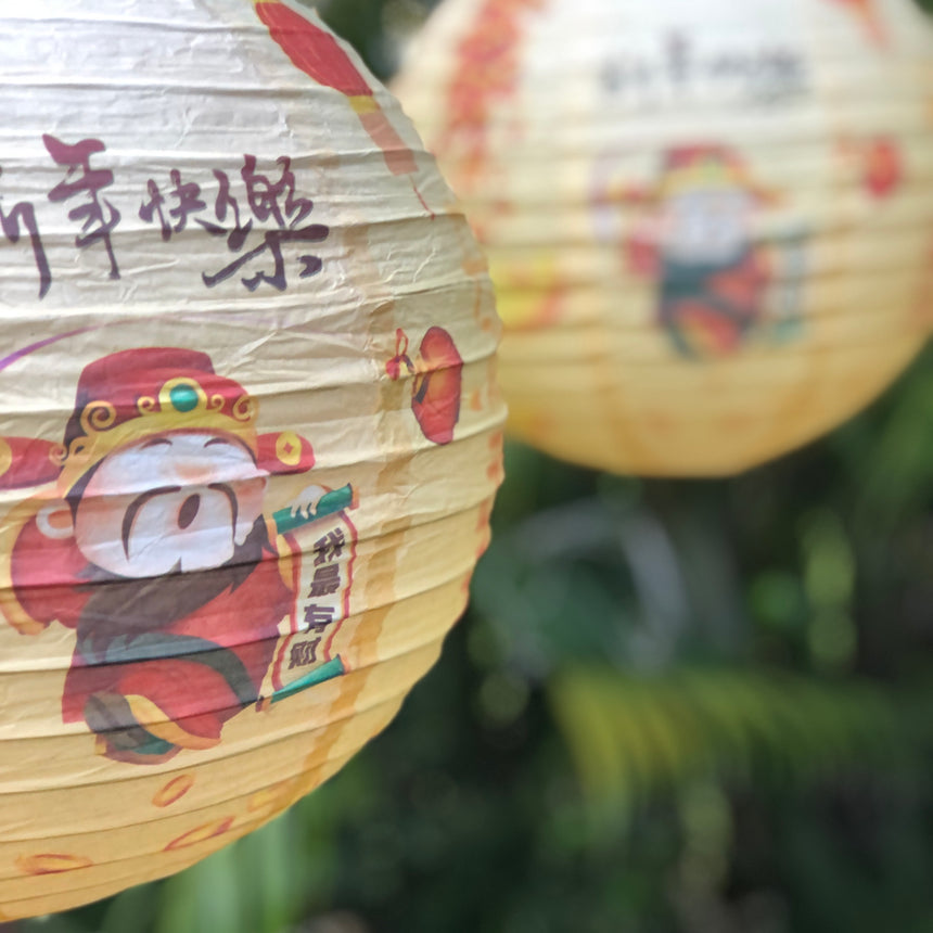 Printed Paper Lanterns – lanternshop