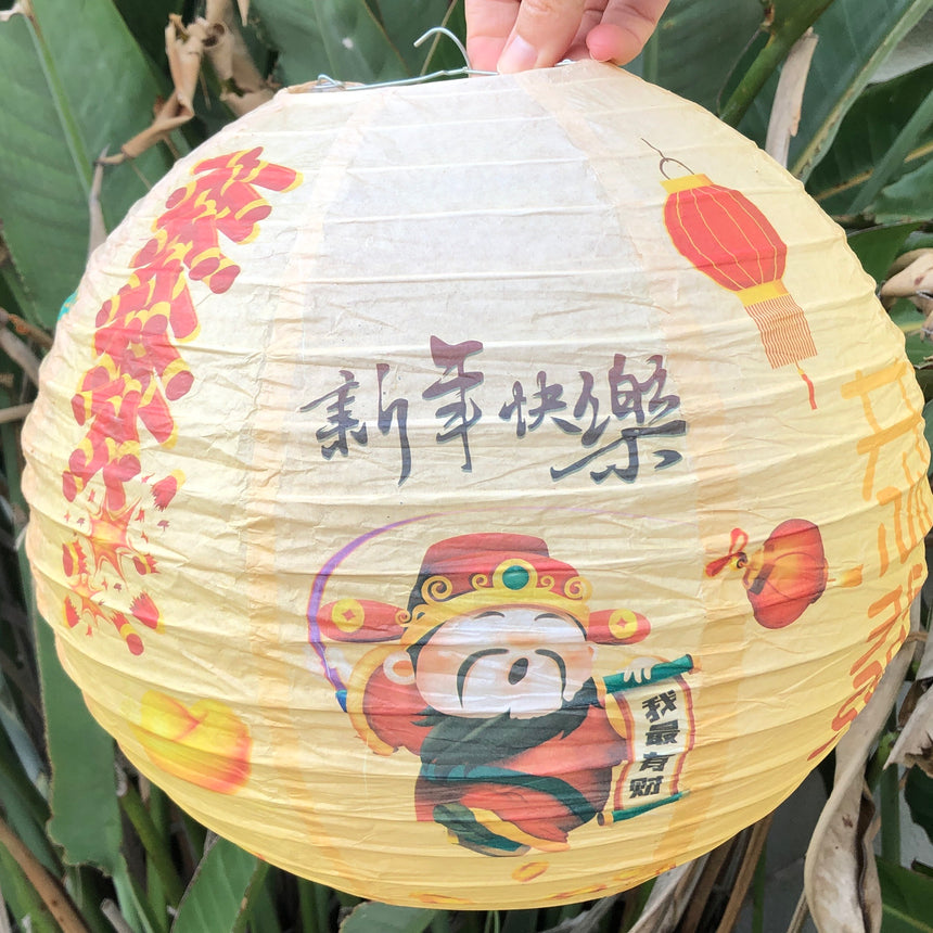 Printed Paper Lanterns – lanternshop