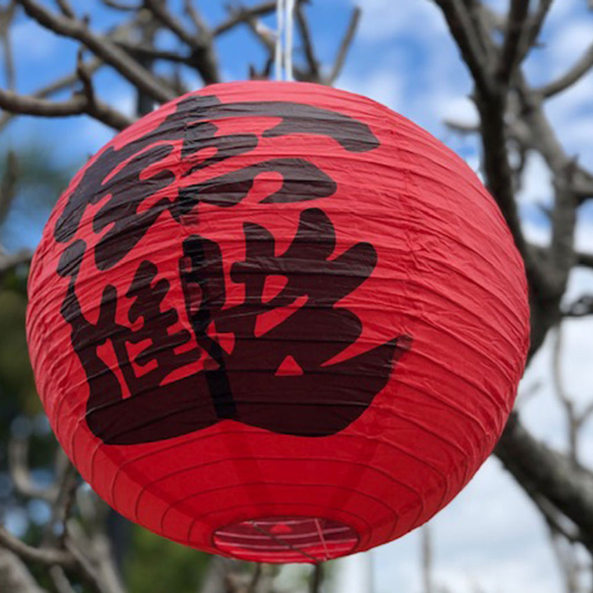 Printed Paper Lanterns – lanternshop