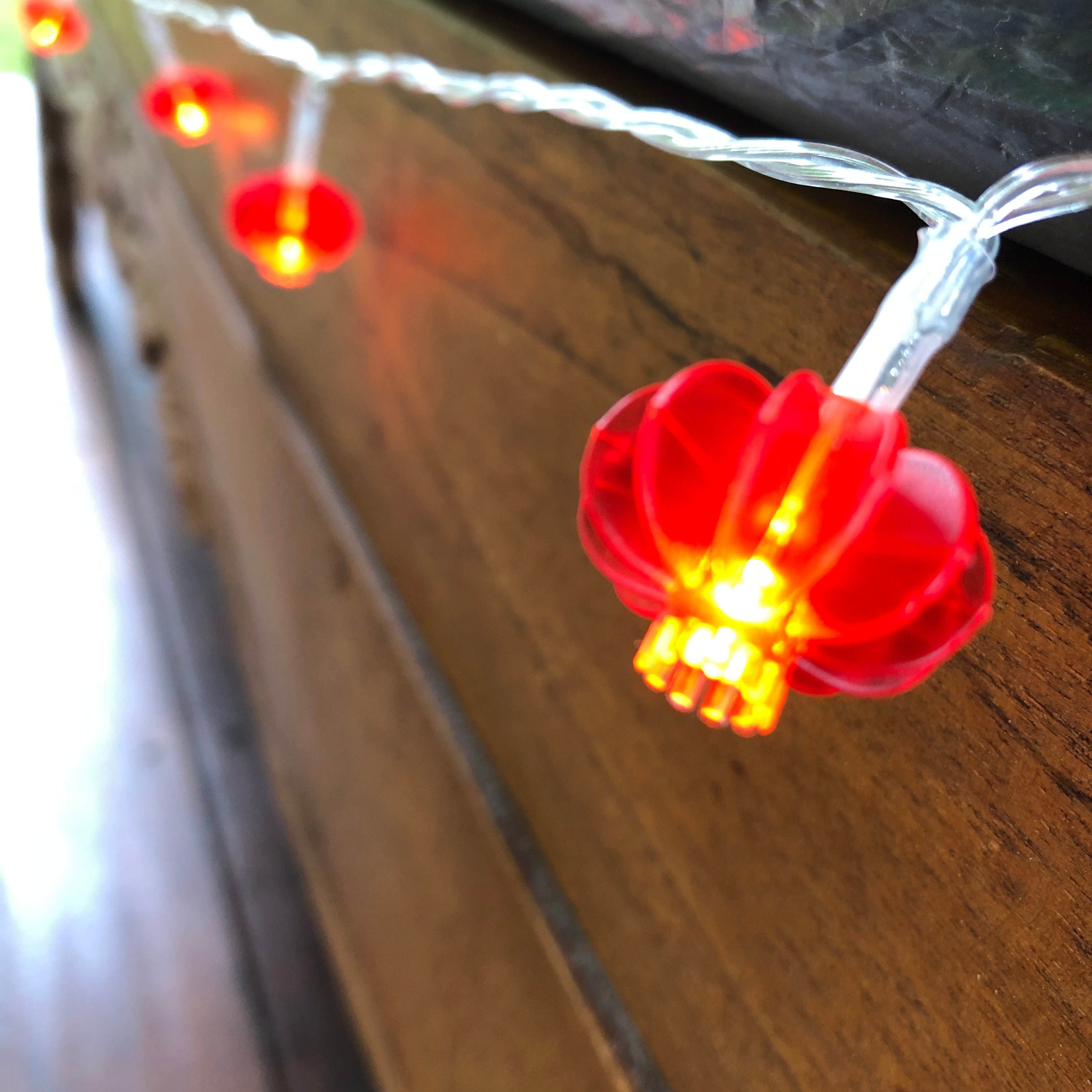 Mini Chinese led Lantern String Lighting Kit | Lanternshop.com.au ...