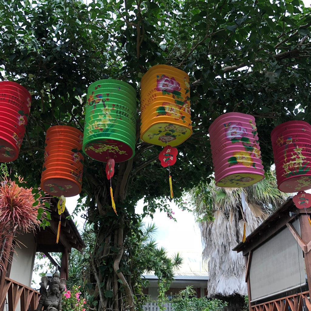 Oriental Design Printed | chinese lanterns | Lanternshop.com.au ...