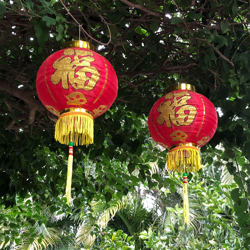 Chinese Lanterns – Page 2 – lanternshop